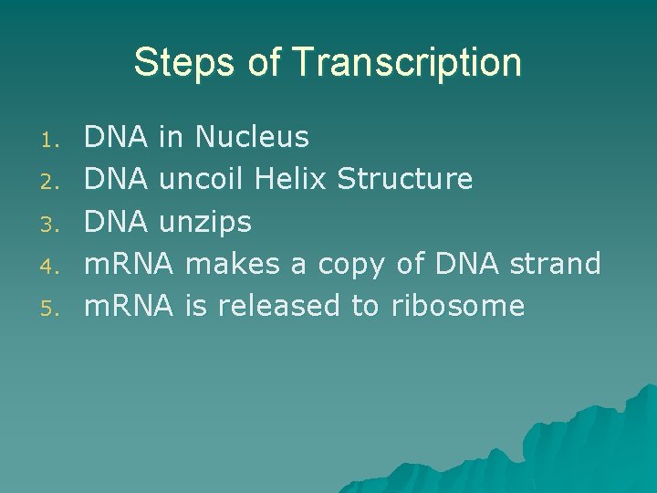 Transcription and Translation Alexandra Costanzo Lake Shore Transcription