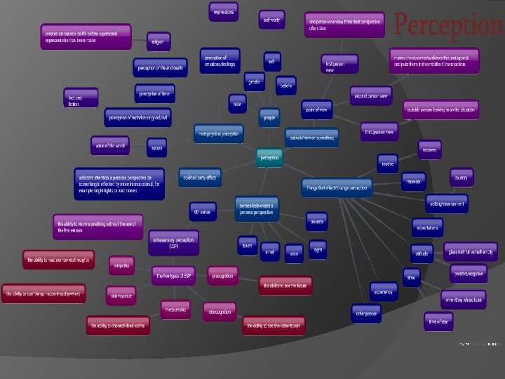 How do people view perception For the most