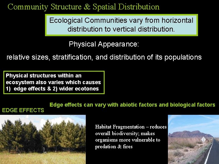 ECOLOGICAL COMMUNITIES Community Structure Spatial Distribution Species ...