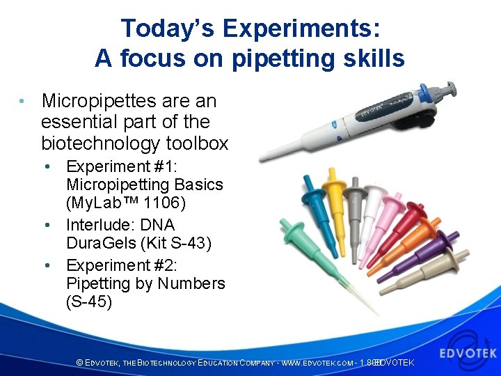 Micropipetting Basics Danielle R Snowflack Ph D www