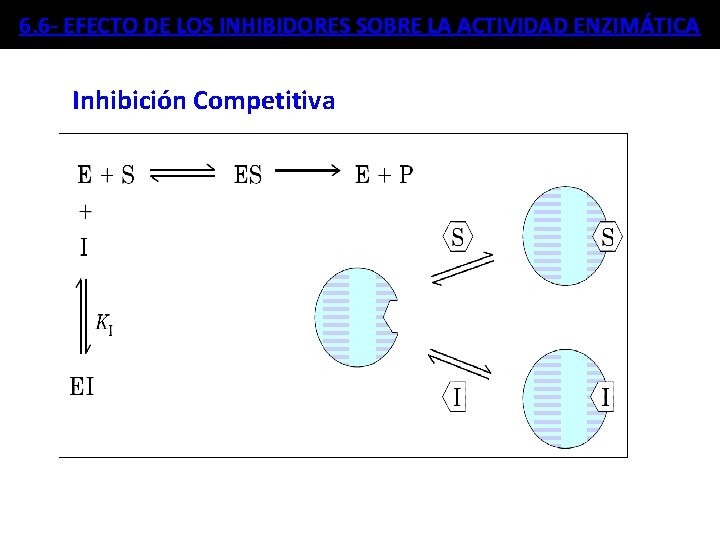 ENZIMAS ENZIMAS 1 CONCEPTOS BASICOS 1 1 Catlisis