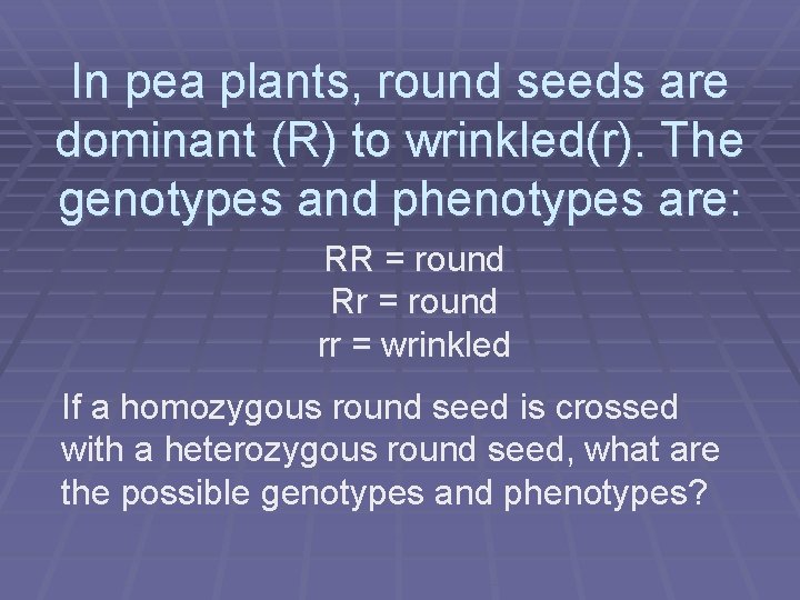 How to Solve a Punnet Square Notes 1