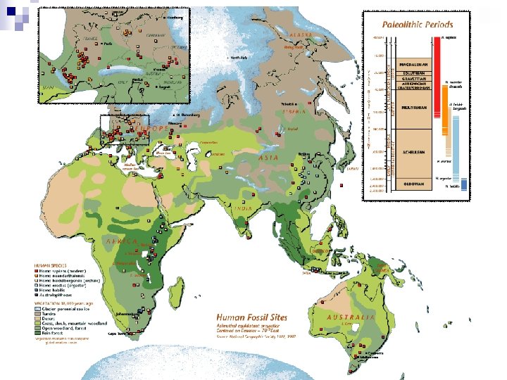 Our Closest Relatives the Neanderthals By Stephen Thai