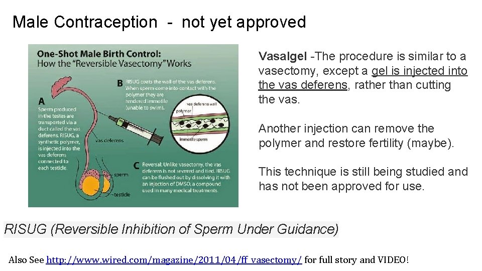 All Living Things Can Reproduce The Reproductive System