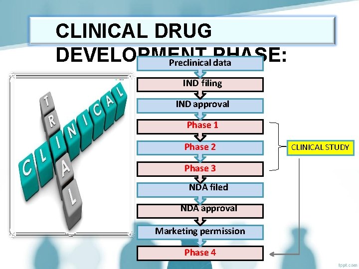 Introduction CONT ENT Clinical drug development Regulatory bodies