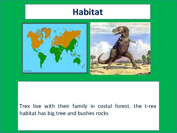Tyrannosaurus rex also called trex By Hashim mujtaba