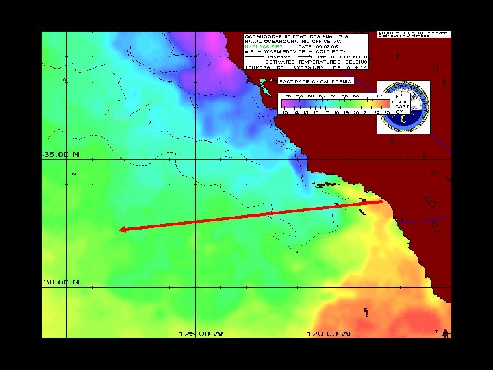 Vertical Structure of the California Current System Hoke