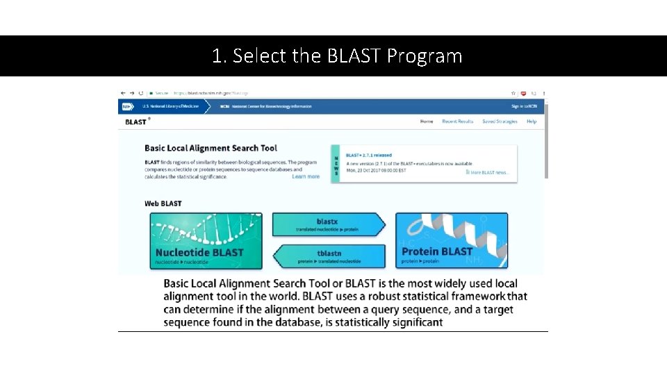 BLAST BASIC LOCAL ALIGNMENT SEARCH TOOL INTRODUCTION In
