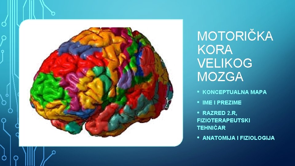 MOTORIKA KORA VELIKOG MOZGA KONCEPTUALNA MAPA ANATOMIJA I