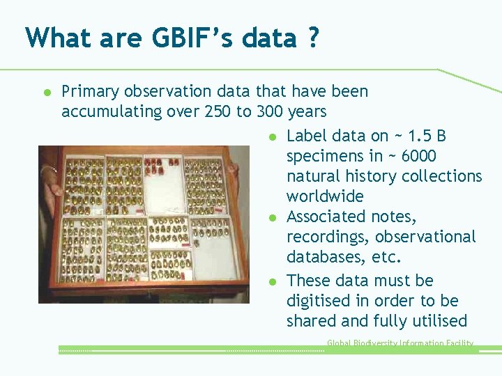 GLOBAL BIODIVERSITY INFORMATION FACILITY Meredith A Lane CODATAERPANET