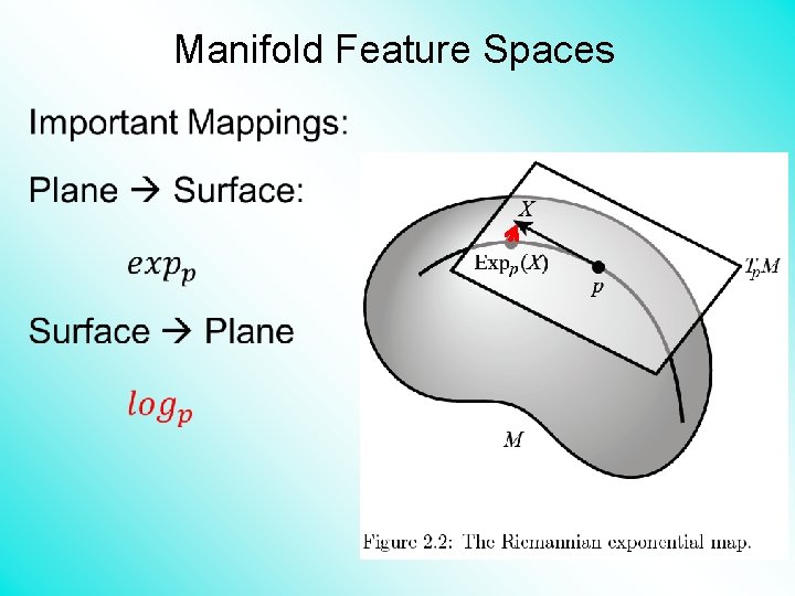 Shapes As Data Objects Common Property of Shape