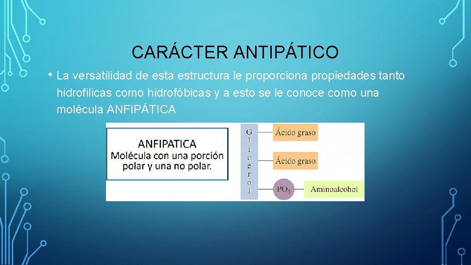 LPIDOS COMPUESTOS DEFINICIN Son los lpidos que adems