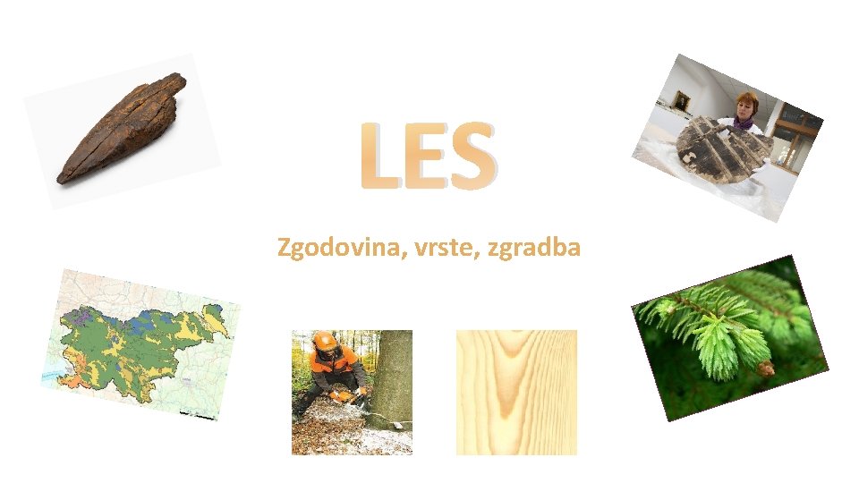 LES Zgodovina vrste zgradba Les Zgodovina uporabe lesa