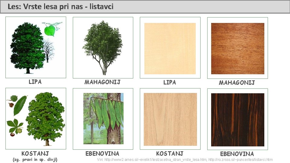 LES Zgodovina vrste zgradba Les Zgodovina uporabe lesa