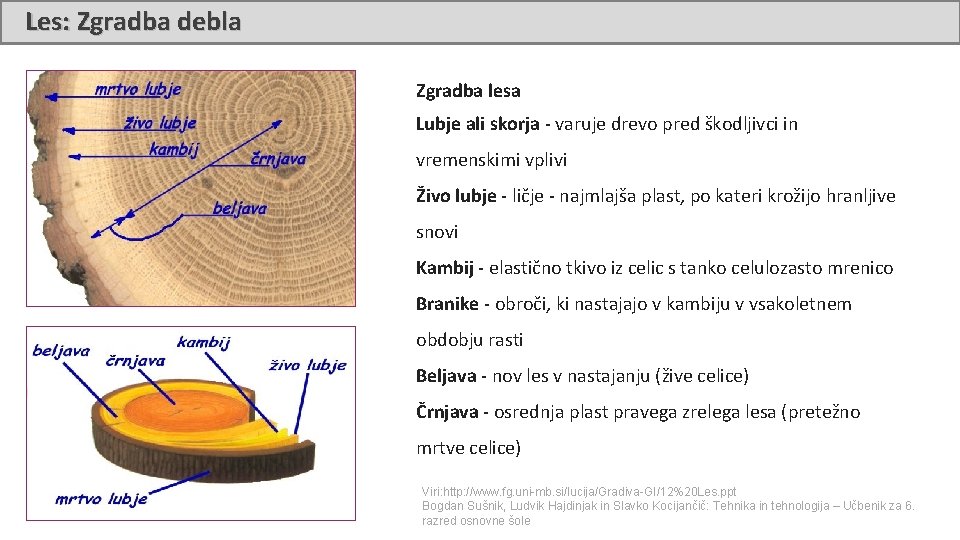 LES Zgodovina vrste zgradba Les Zgodovina uporabe lesa