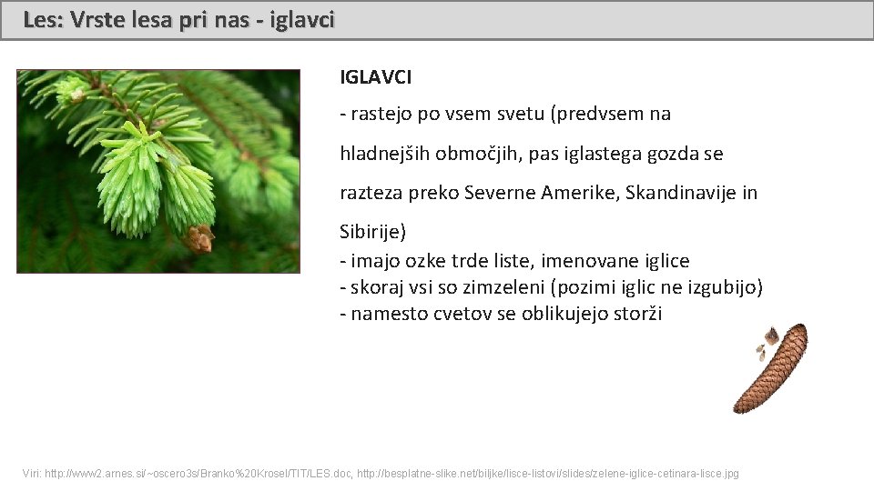 LES Zgodovina vrste zgradba Les Zgodovina uporabe lesa