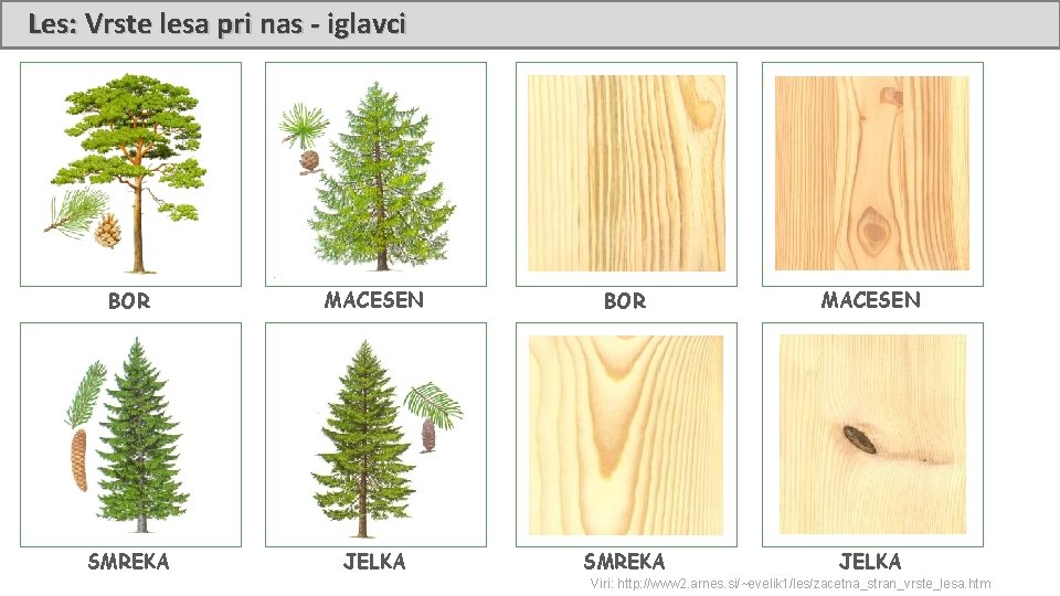 LES Zgodovina vrste zgradba Les Zgodovina uporabe lesa
