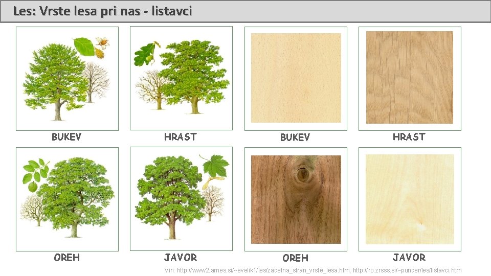 LES Zgodovina vrste zgradba Les Zgodovina uporabe lesa