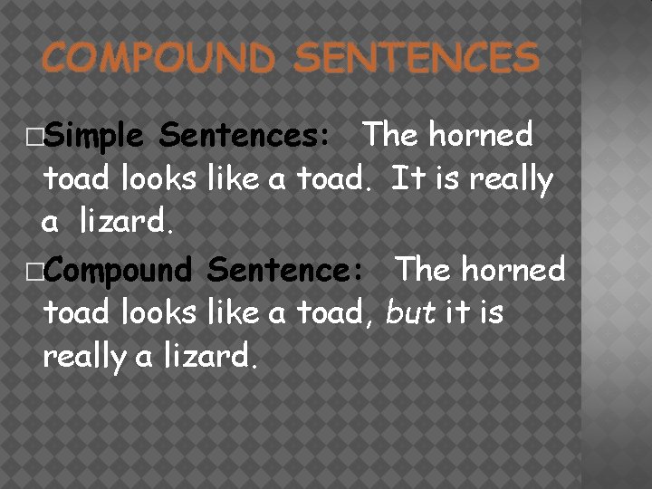 Big Question What is unique about the landscape