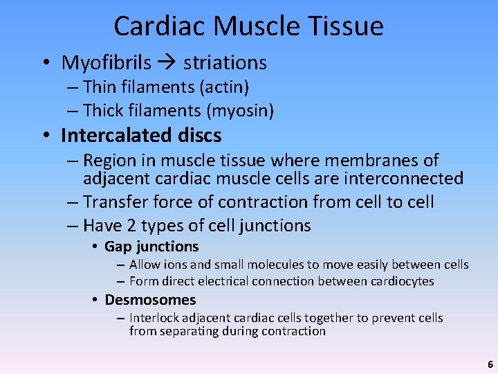 Chapter 20 The Heart BIO 211 Lecture Instructor