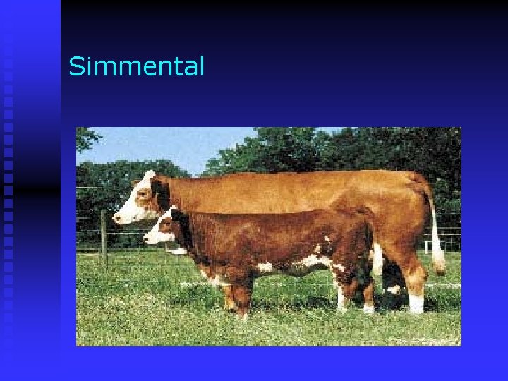 The Animal Industry Agriscience Applications Agriculture could be