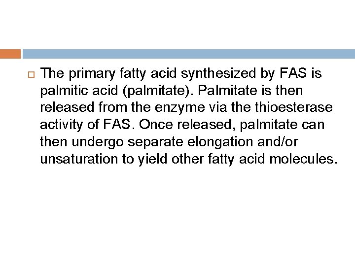 Fatty acid synthesis Prof S Kajuna Synthesis of