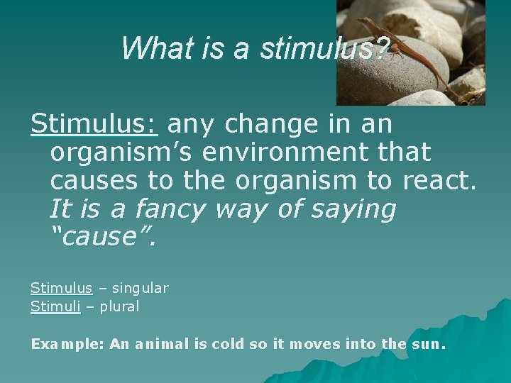 Feb 6 2012 Warm Up Take out journal