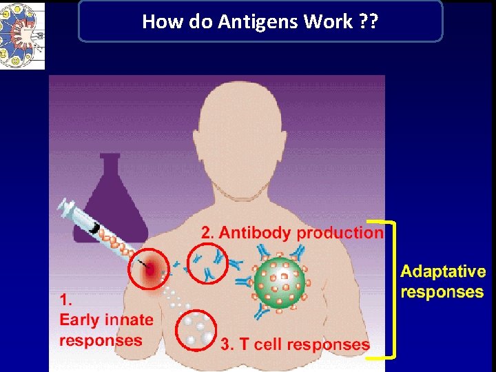 GENERAL ASPECTS OF IMMUNIZATION Dr Abhay K Shah