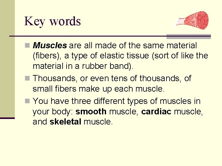 My Muscular System My muscles move my body