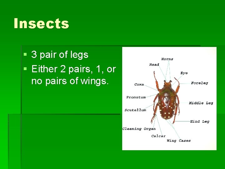 Pest Management Chapter 8 Learning Targets 1 I