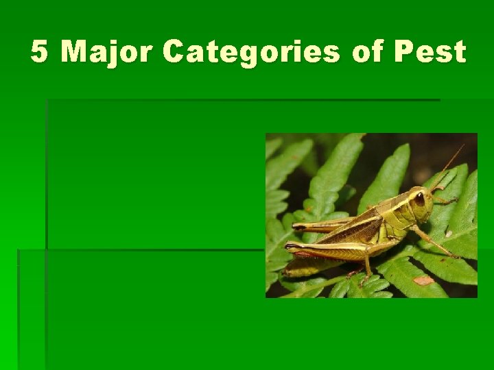 Pest Management Chapter 8 Learning Targets 1 I