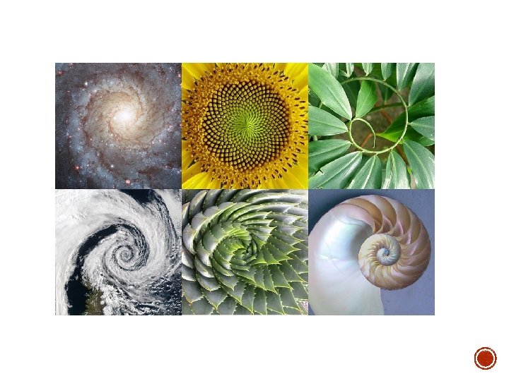 Photography Techniques Identify the Elements Principles in this