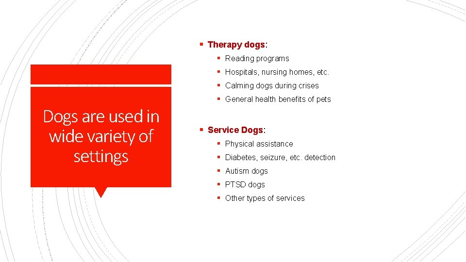 What health benefits do dogs provide for humans