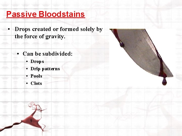 FORENSIC SEROLOGY Blood A complex mixture of cells