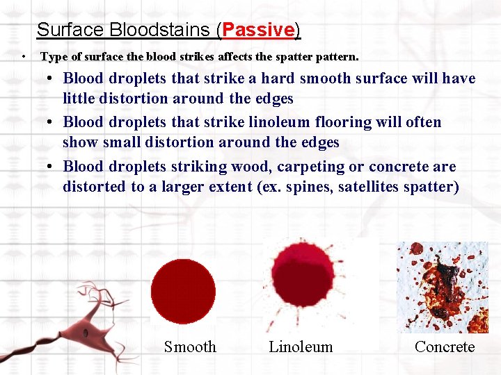 FORENSIC SEROLOGY Blood A complex mixture of cells