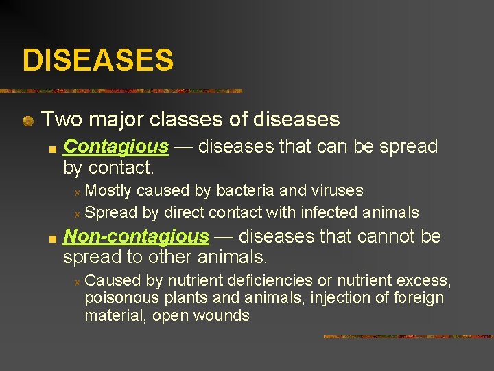 ANIMAL HEALTH Bellwork Identify two reasons why learning