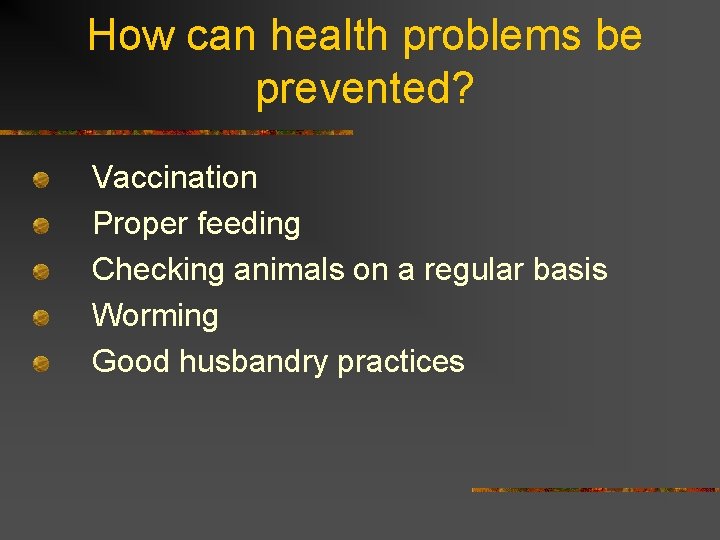 ANIMAL HEALTH Bellwork Identify two reasons why learning