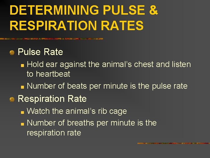 ANIMAL HEALTH Bellwork Identify two reasons why learning