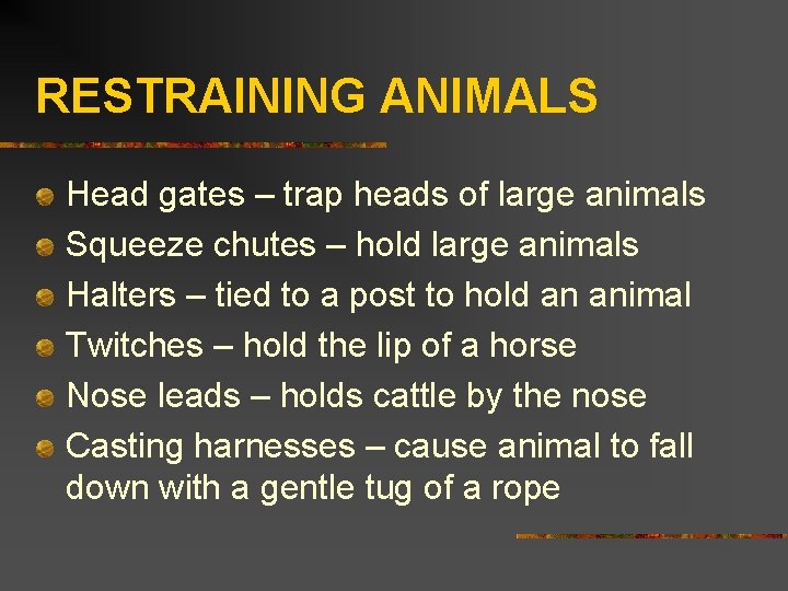 ANIMAL HEALTH Bellwork Identify two reasons why learning