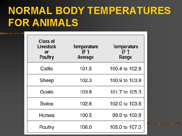 ANIMAL HEALTH Bellwork Identify two reasons why learning