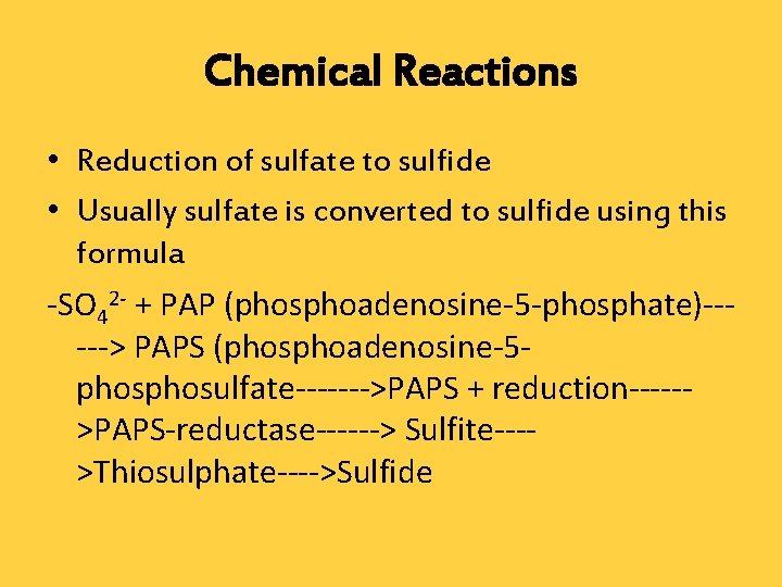 Sulfur Cycle Rachel Franks Rakin Hamad and Elliot
