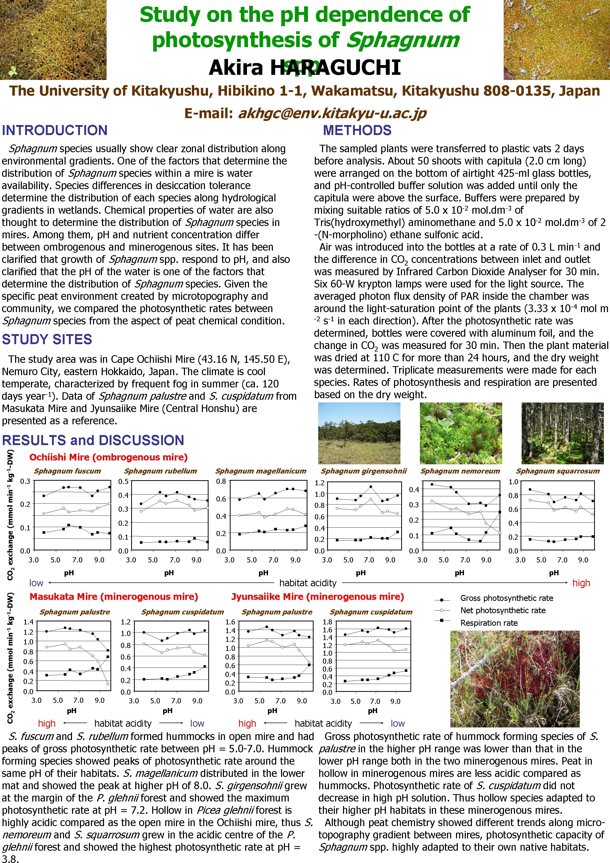 Study on the p H dependence of photosynthesis