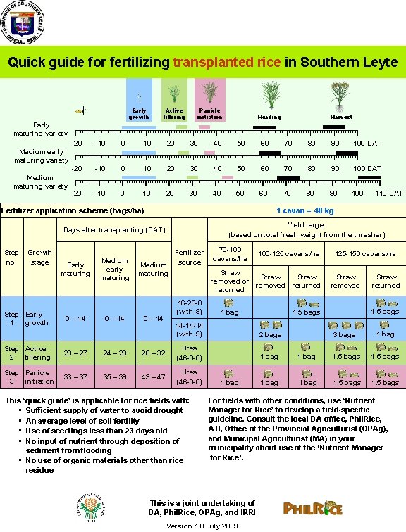 Quick guide for fertilizing transplanted rice in Southern