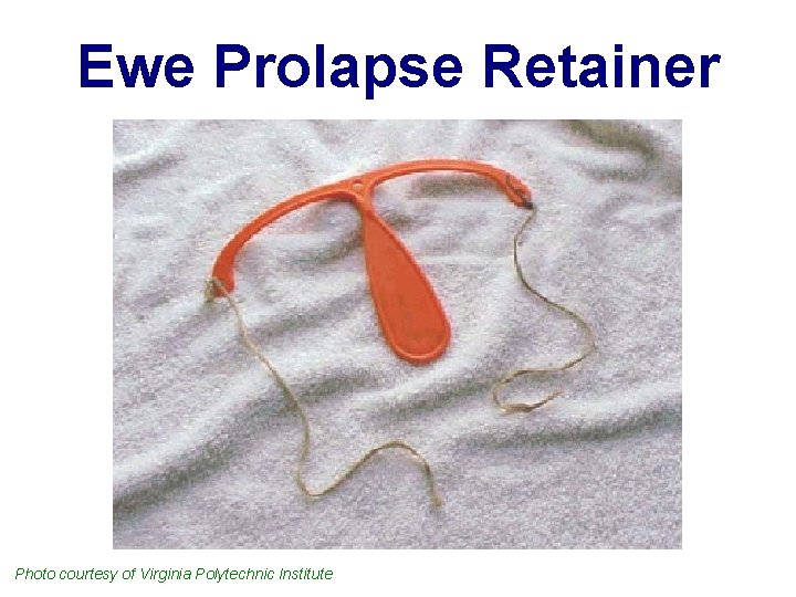 Equipment Identification Developed by Richard Coffey Extension Swine