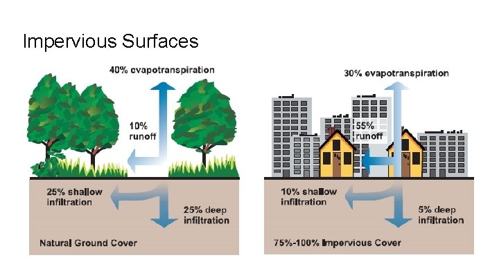 Urban Stormwater Runoff In the world at Duke