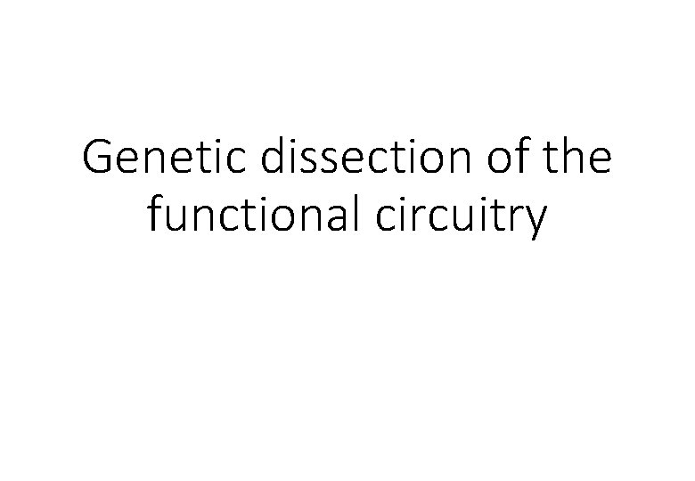 Genetic dissection of the functional circuitry Genetic dissection