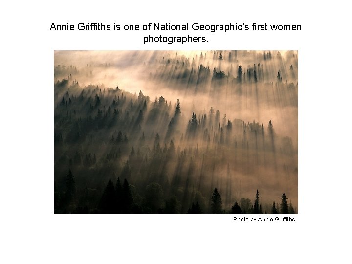 Media 175 Principles of Digital Photography Photographer Annie