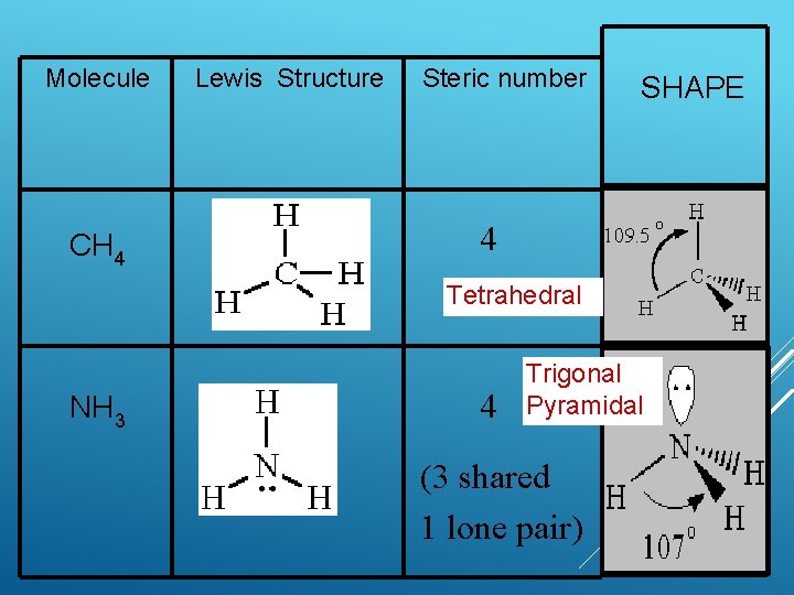 Molecular Shape VSEPR theory assumes that the shape