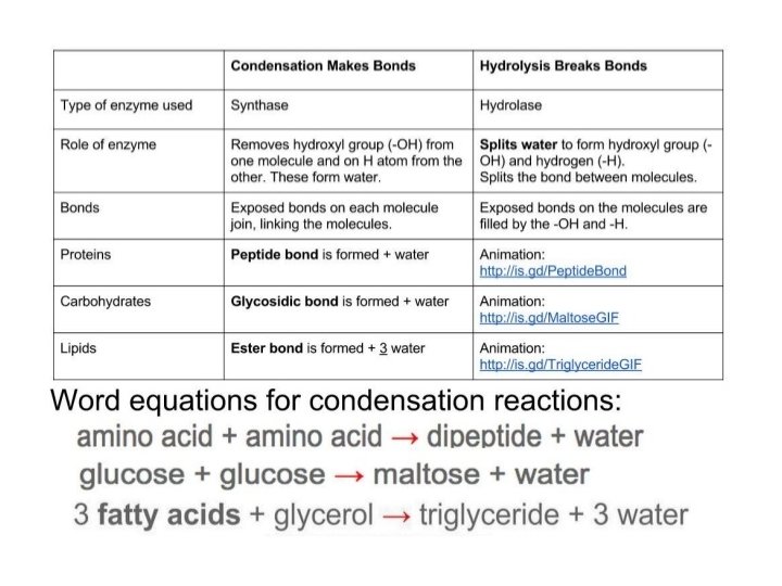 2 1 2 3 2 4 Carbohydrates Lipids