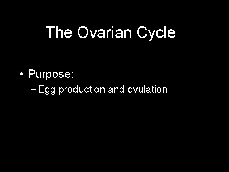 Chapter 17 Female Reproduction The Female Reproductive System